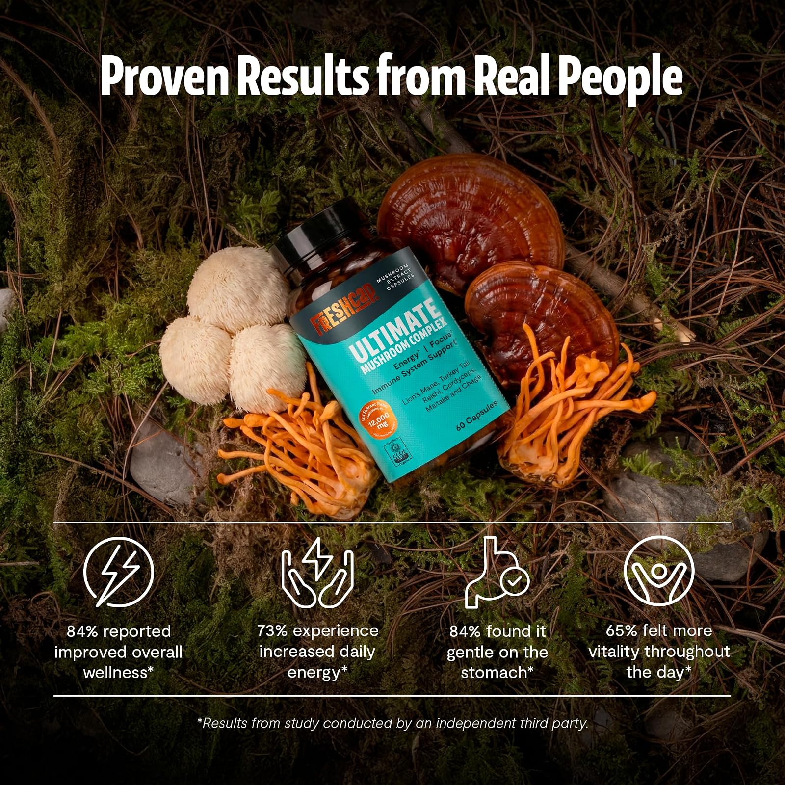 12:1 extract mushroom supplement benefits