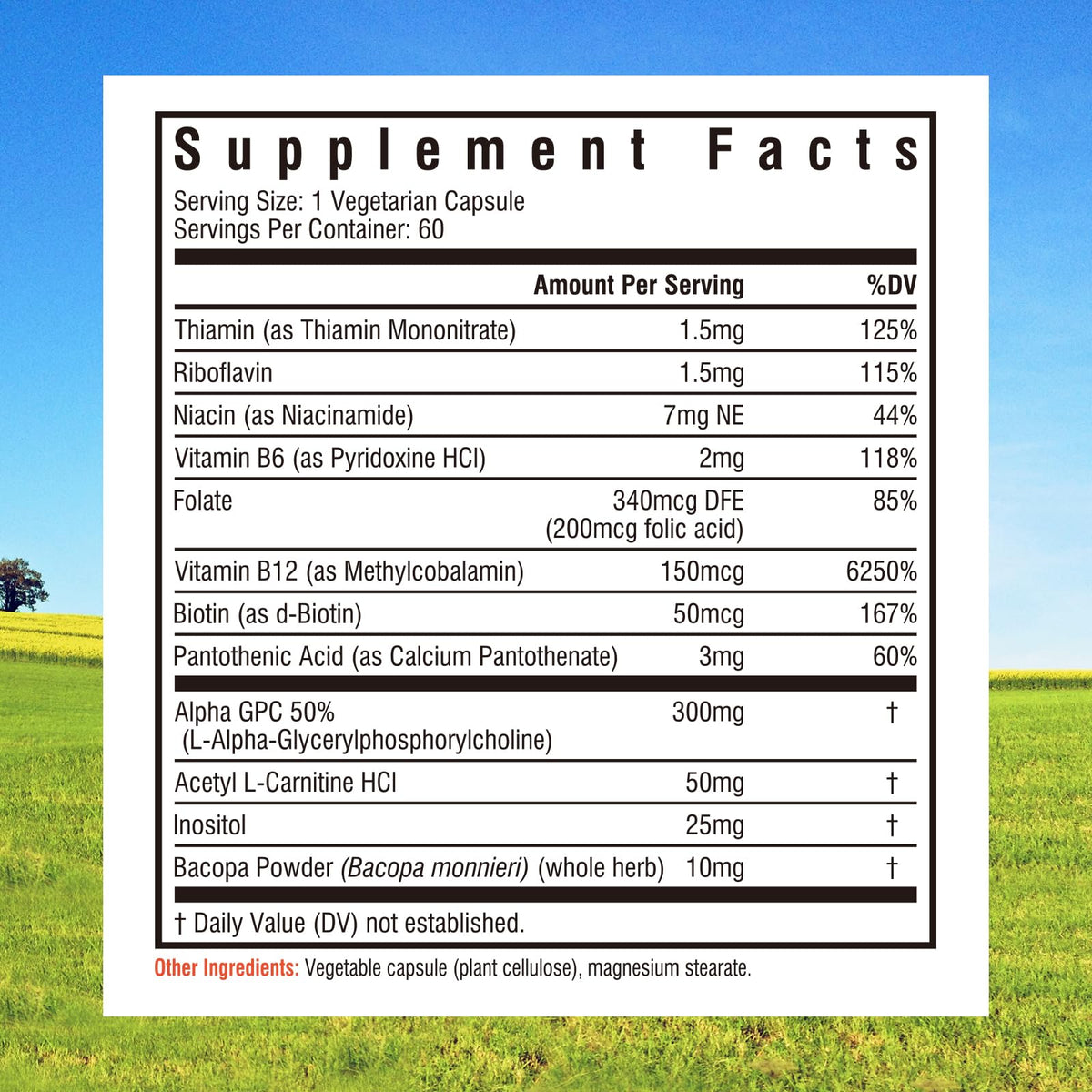 12-in-1 cognitive support formula