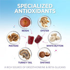 12 in 1 mushroom gummy benefits