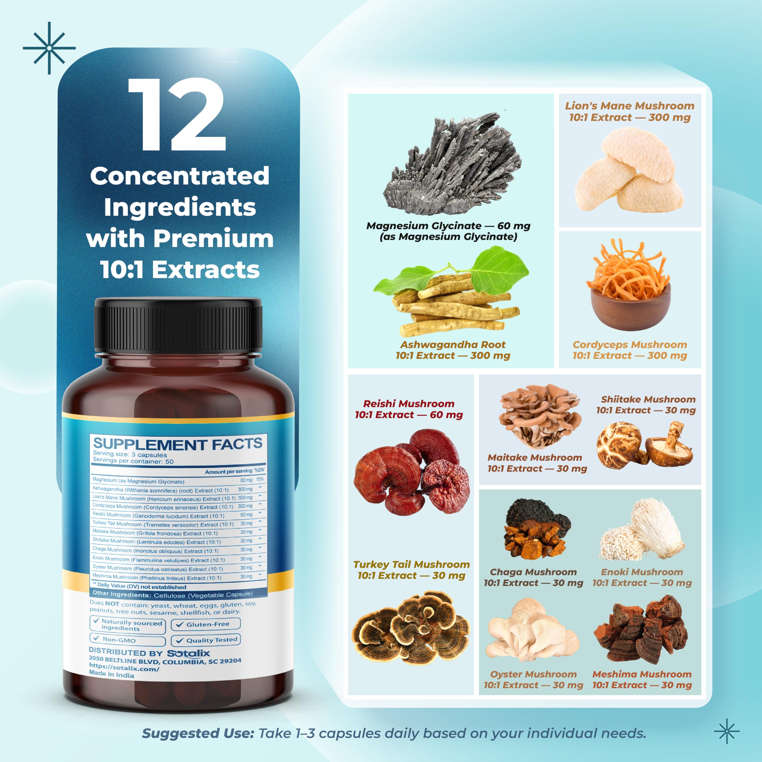 12-in-1 mushroom supplement for wellness