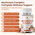 12 in 1 mushroom supplement