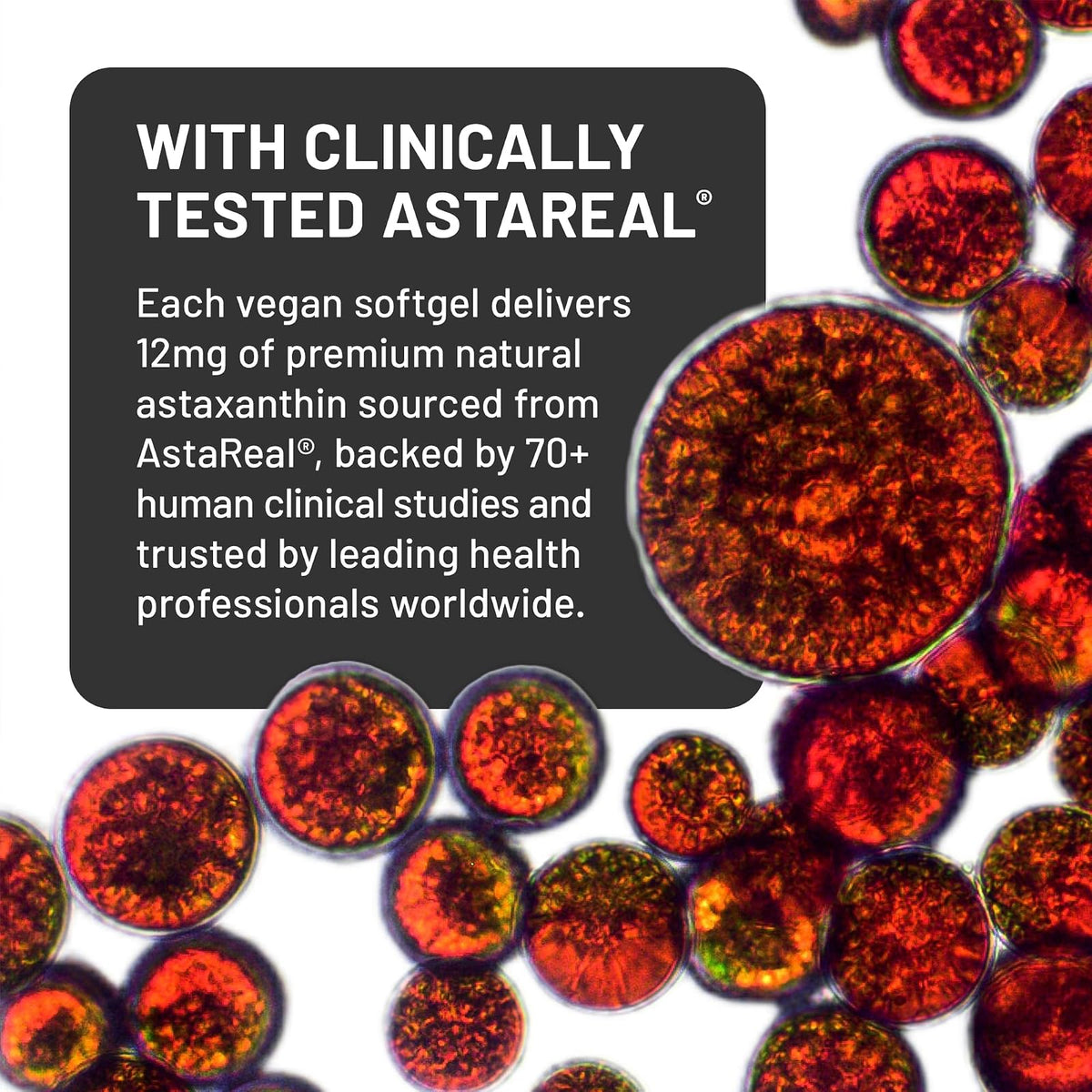 12 mg Astaxanthin antioxidant support