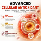 12 mg Astaxanthin for better health