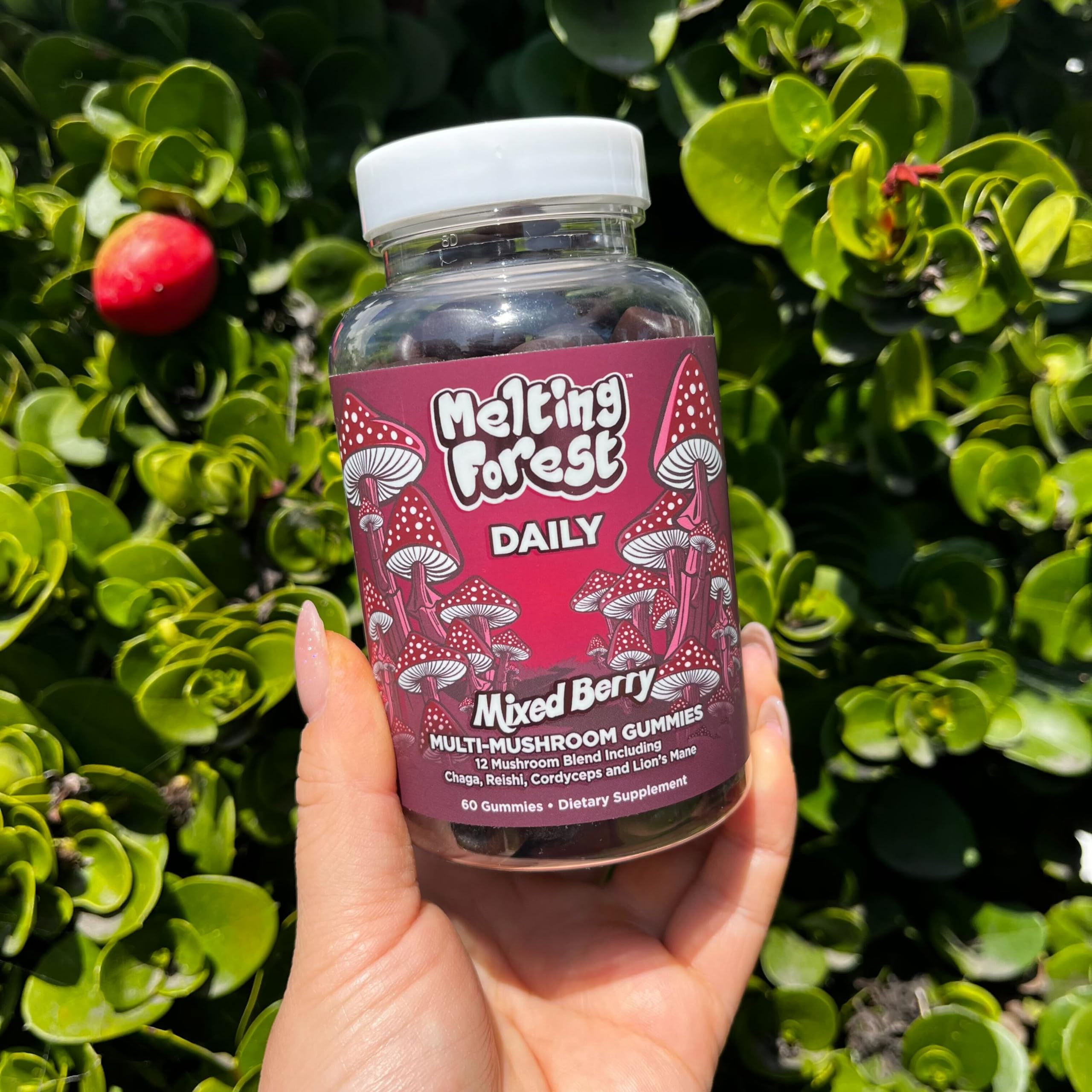 12 mushroom blend for health