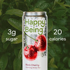 12 oz Orchard Sparkling Tea can