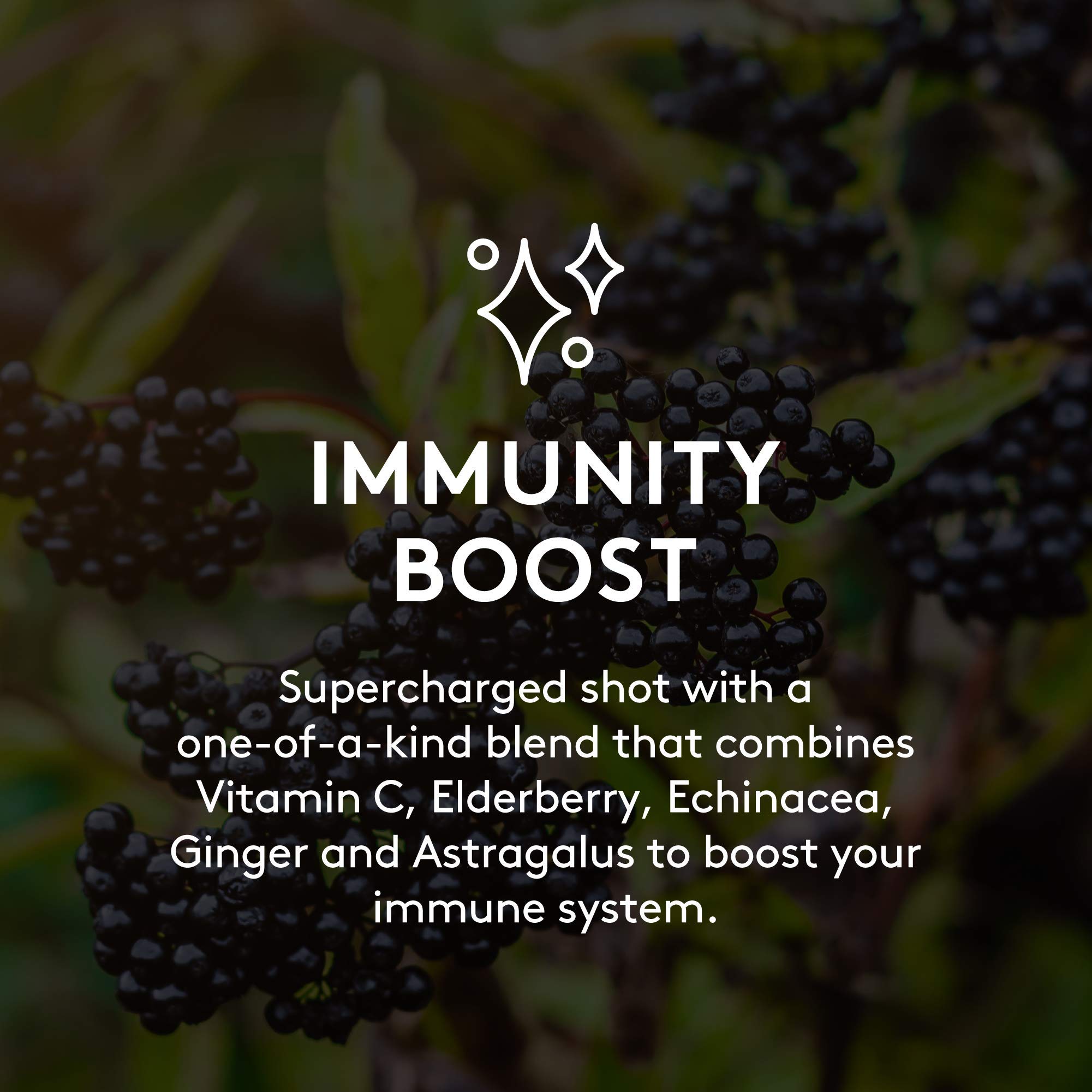 12 pack elderberry hydration shots