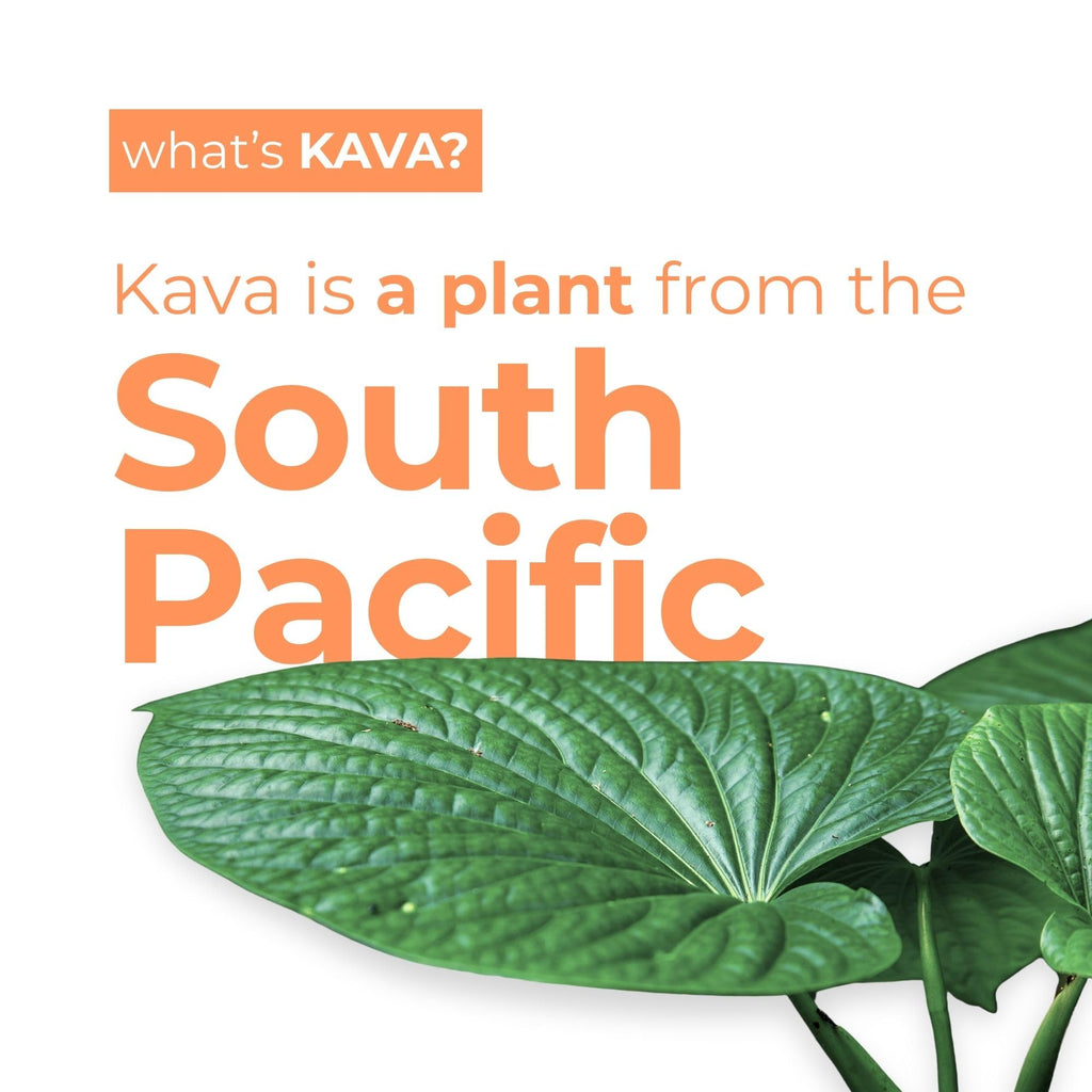 12 pack kava kava cans