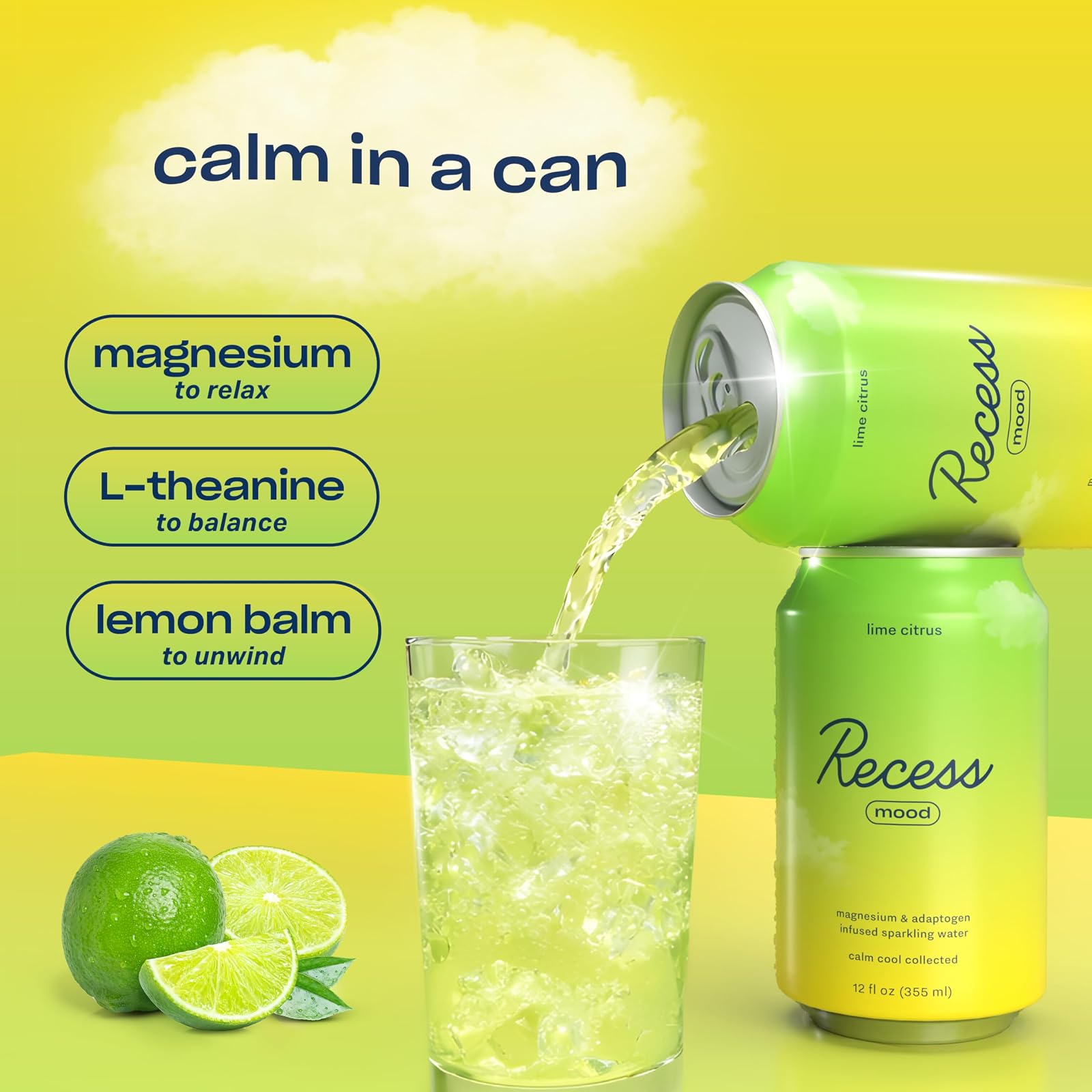 12 pack magnesium malate drinks