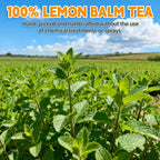 120 bags of lemon balm tea
