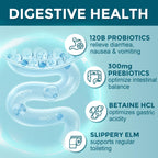 120 billion CFU probiotics for men