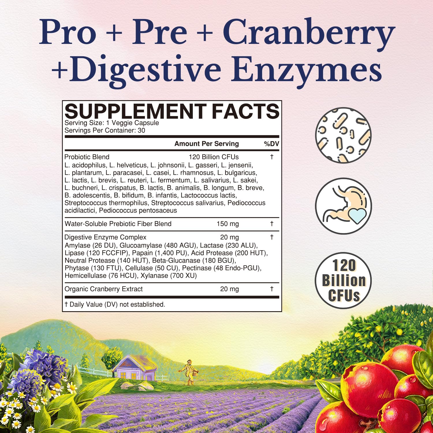 120 billion CFUs digestive support