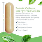120 capsules for daily energy needs