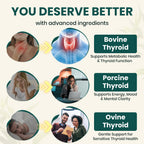 120 capsules for daily thyroid care