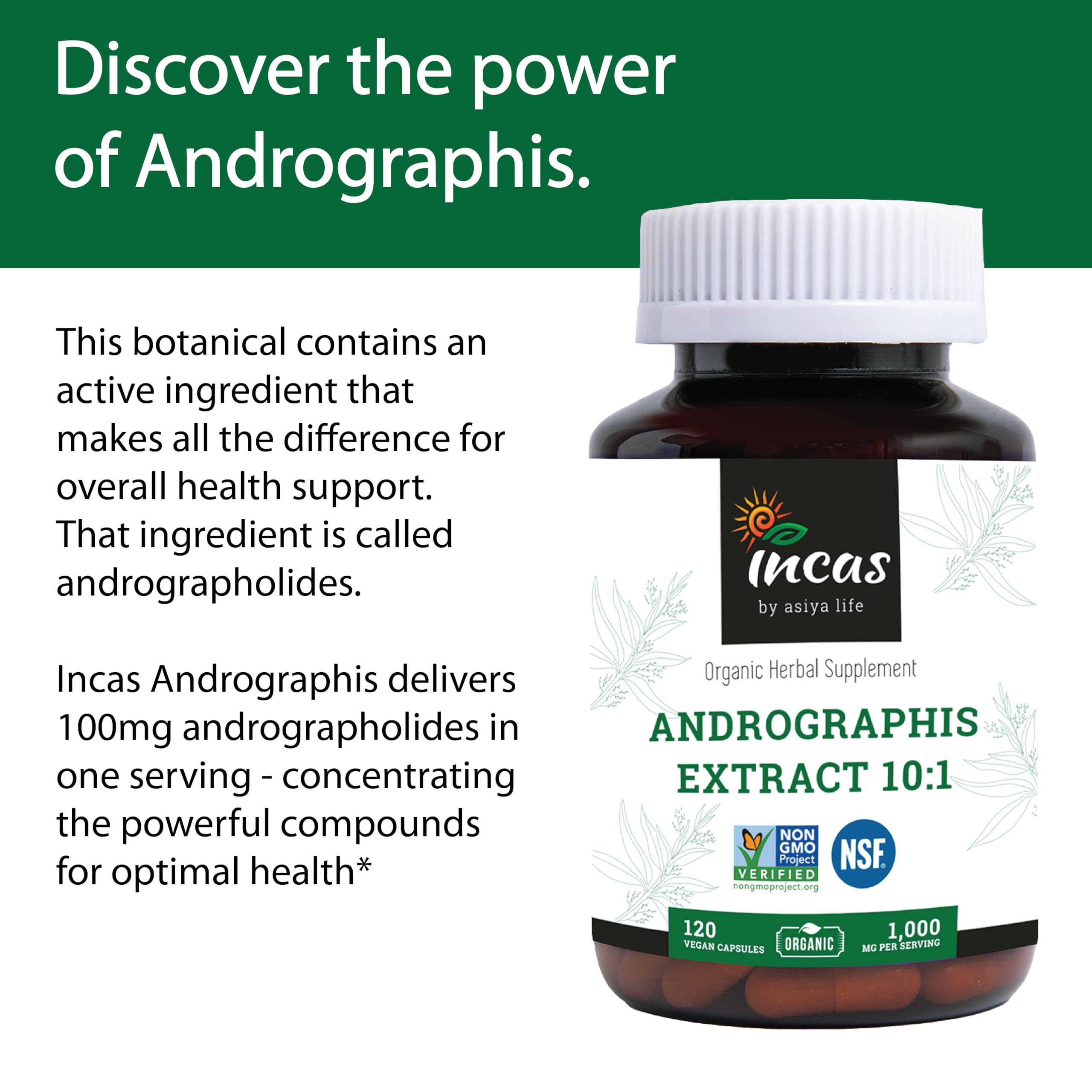 120 capsules for daily wellness