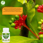 120 capsules for long-lasting supply