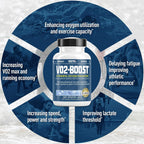 120 capsules of alpha lipoic acid