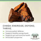 120 capsules of chaga extract