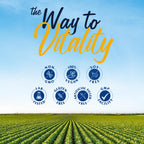 120 capsules of Citrus Bergamot for energy