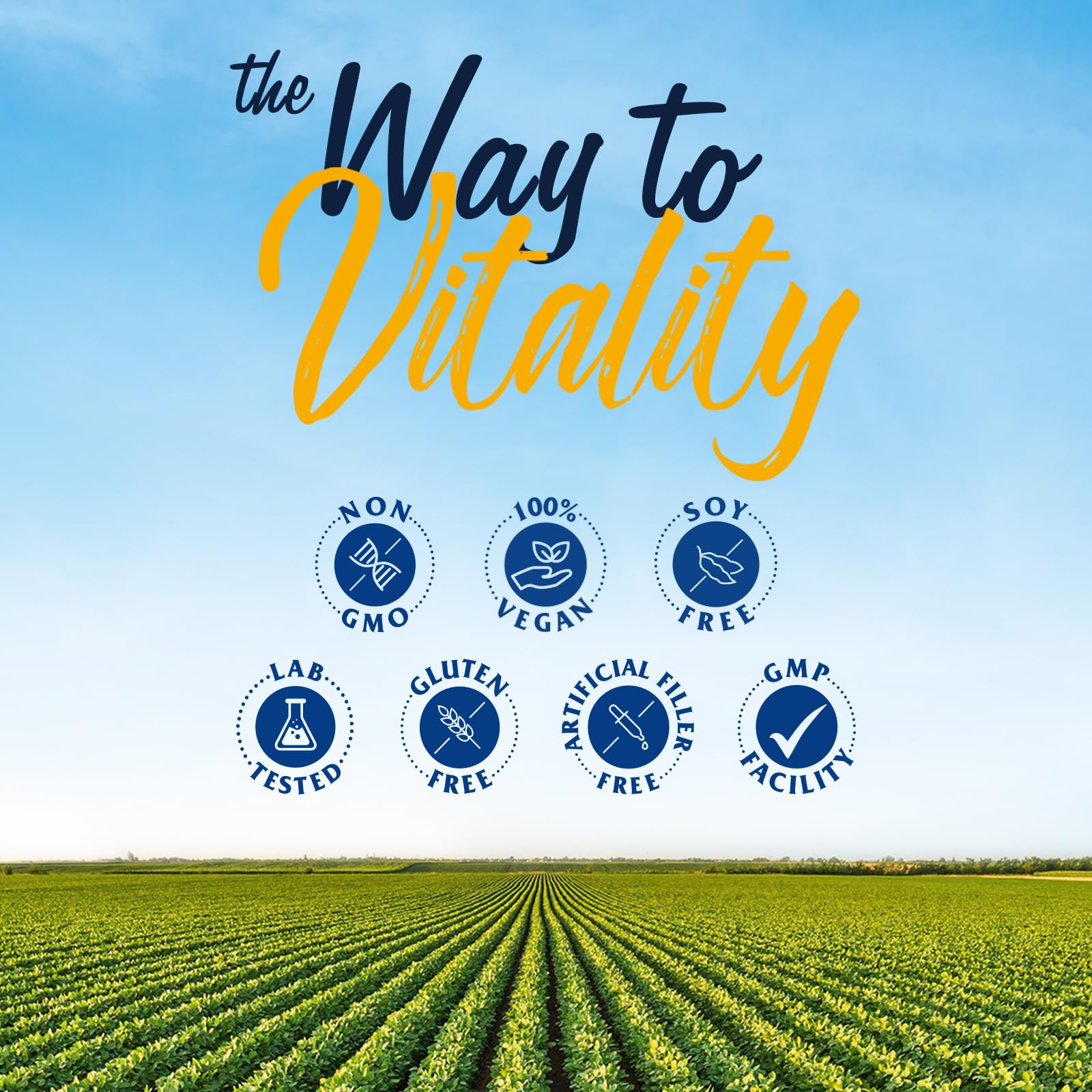 120 capsules of Citrus Bergamot for energy
