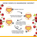 120 capsules of D-Mannose for bladder support