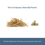 120 capsules of Eclectic Cordyceps