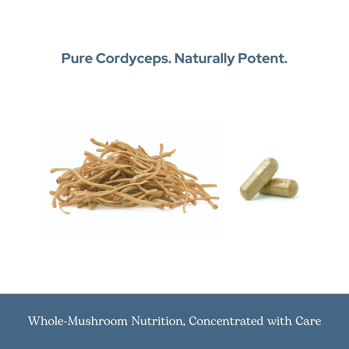 120 capsules of Eclectic Cordyceps
