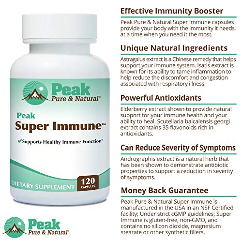 120 capsules of elderberry health support