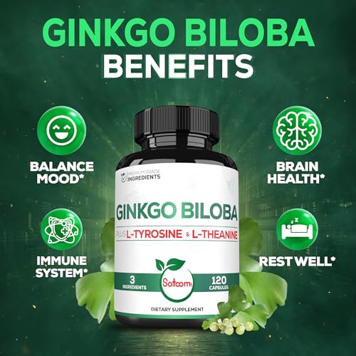 120 capsules of Ginkgo Biloba extract