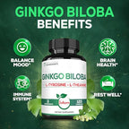 120 capsules of Ginkgo Biloba extract