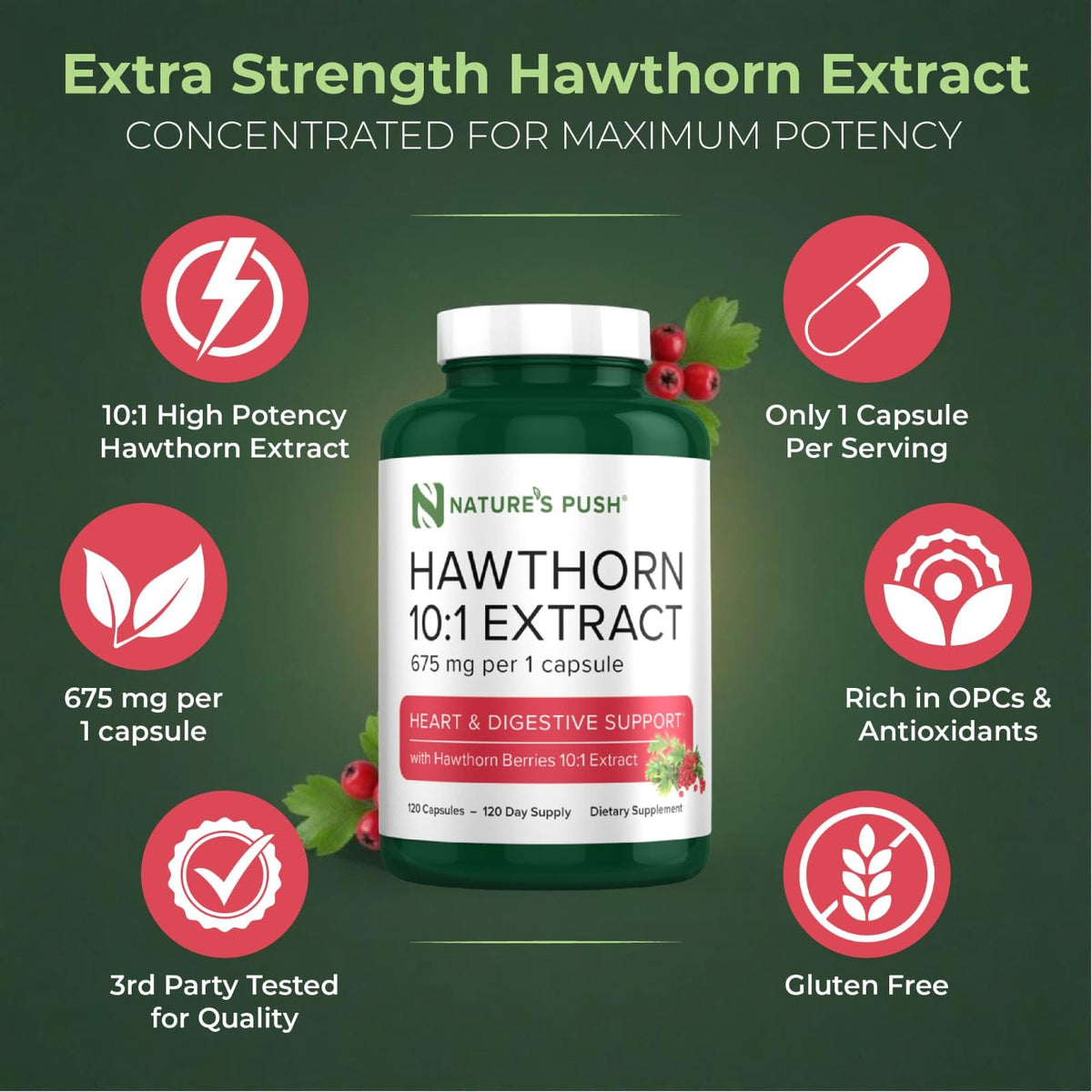 120 capsules of hawthorn extract