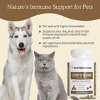 120 capsules of Lion's Mane benefits