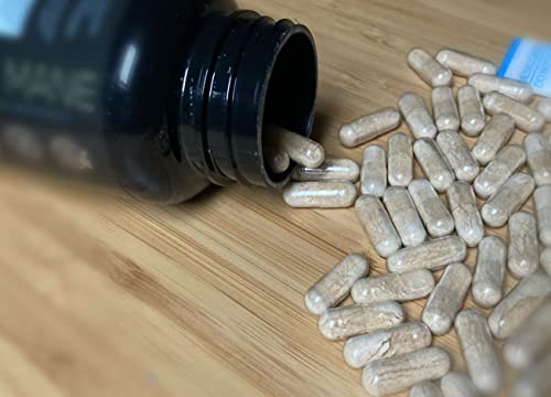 120 capsules of Lion's Mane extract