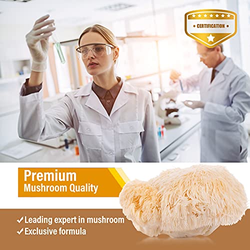 120 capsules of Lions Mane mushrooms