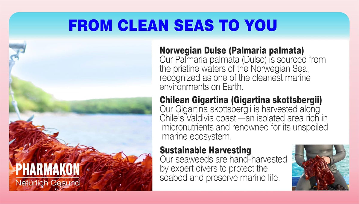 120 capsules of marine algae complex