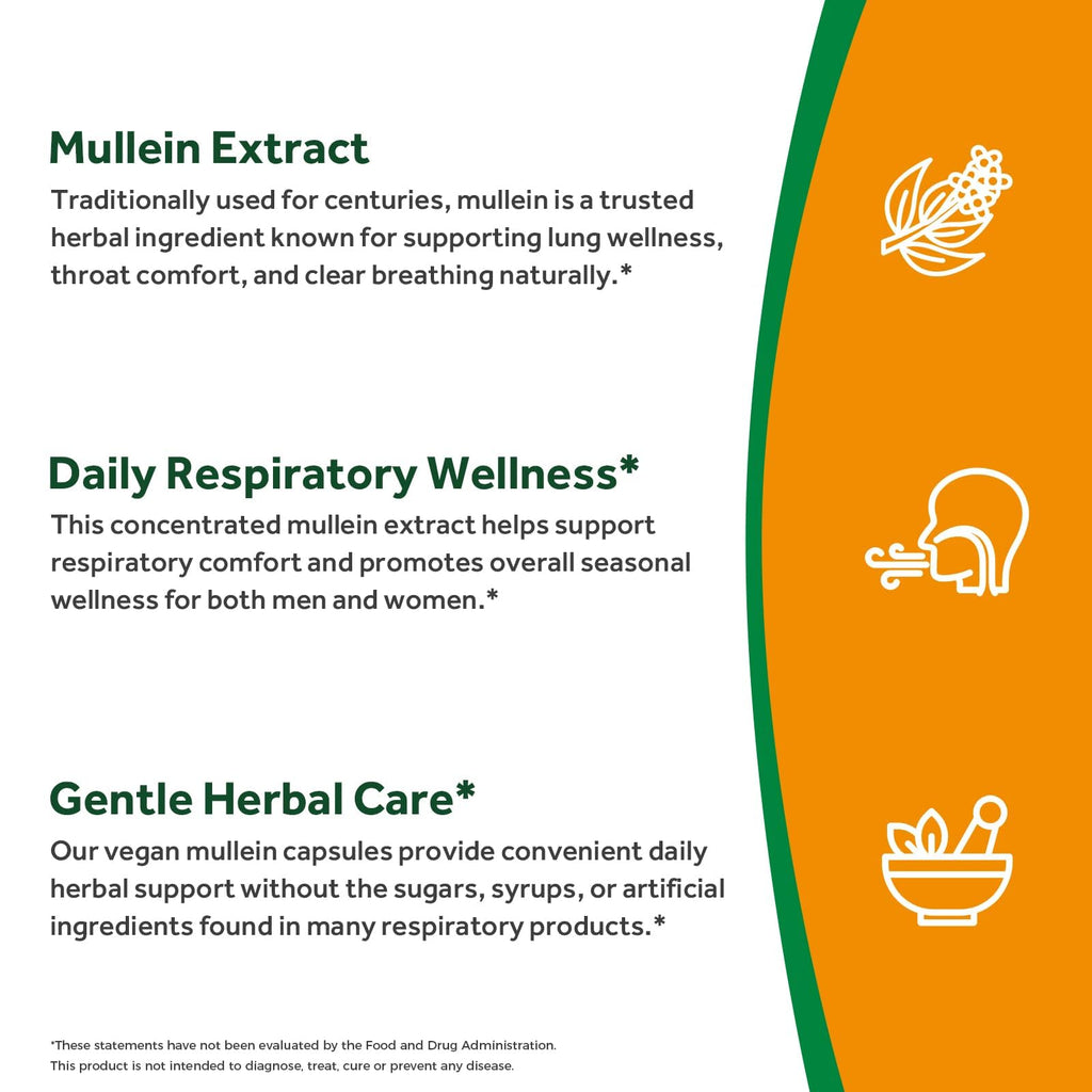 120 capsules of Mullein extract