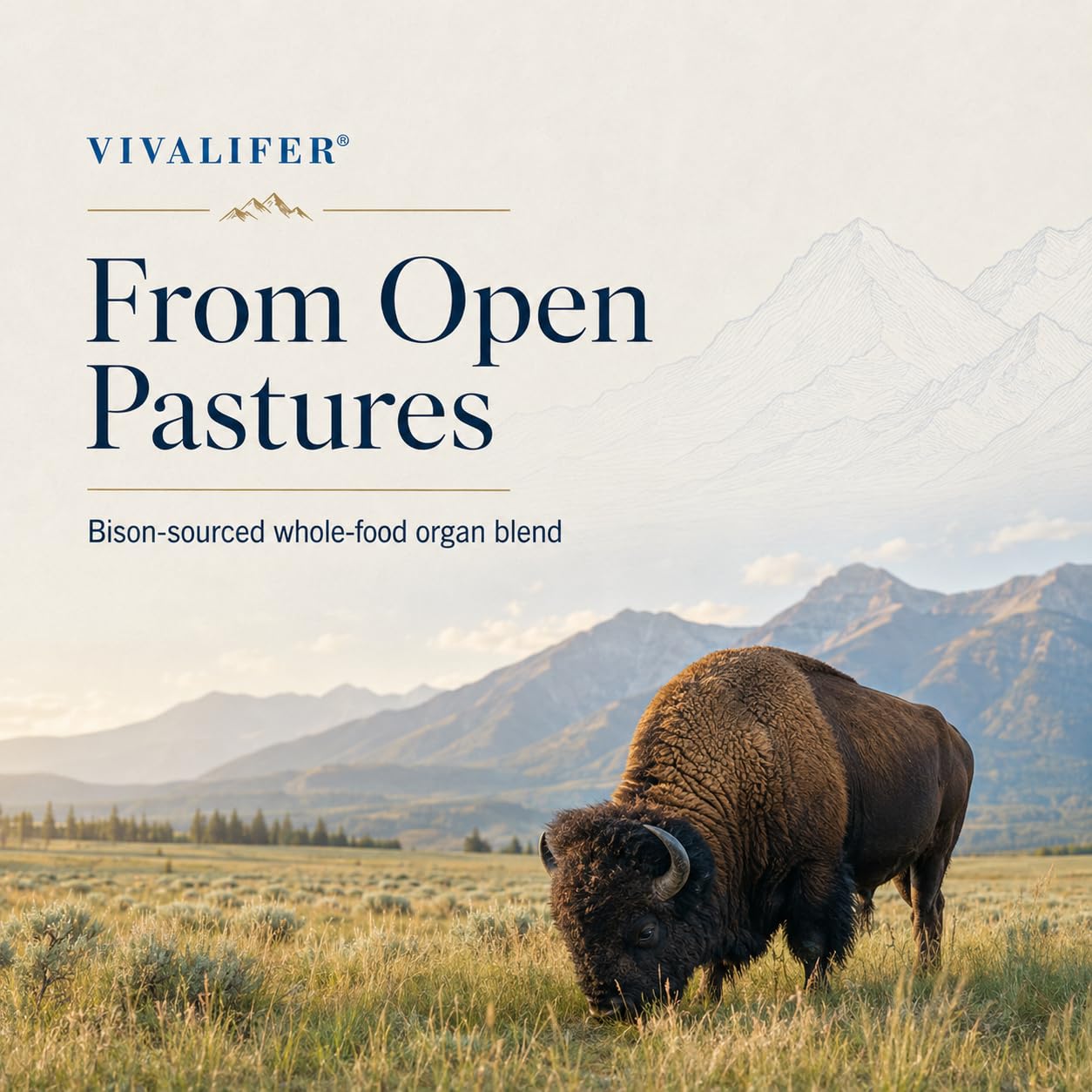 120 capsules of nutrient-rich bison