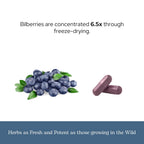 120 capsules of potent bilberry extract