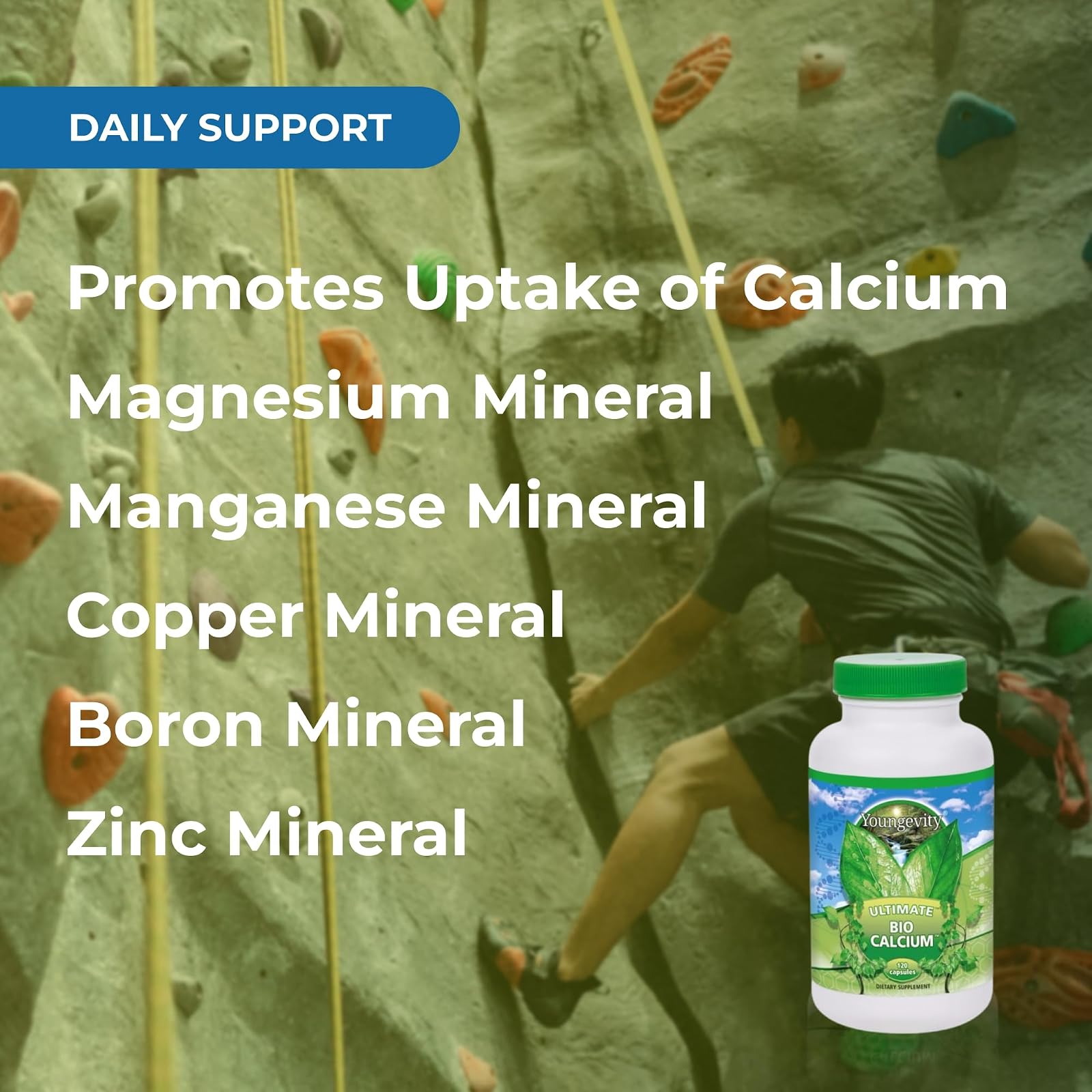 120 capsules of Youngevity calcium