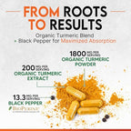 120 capsules turmeric curcumin formula