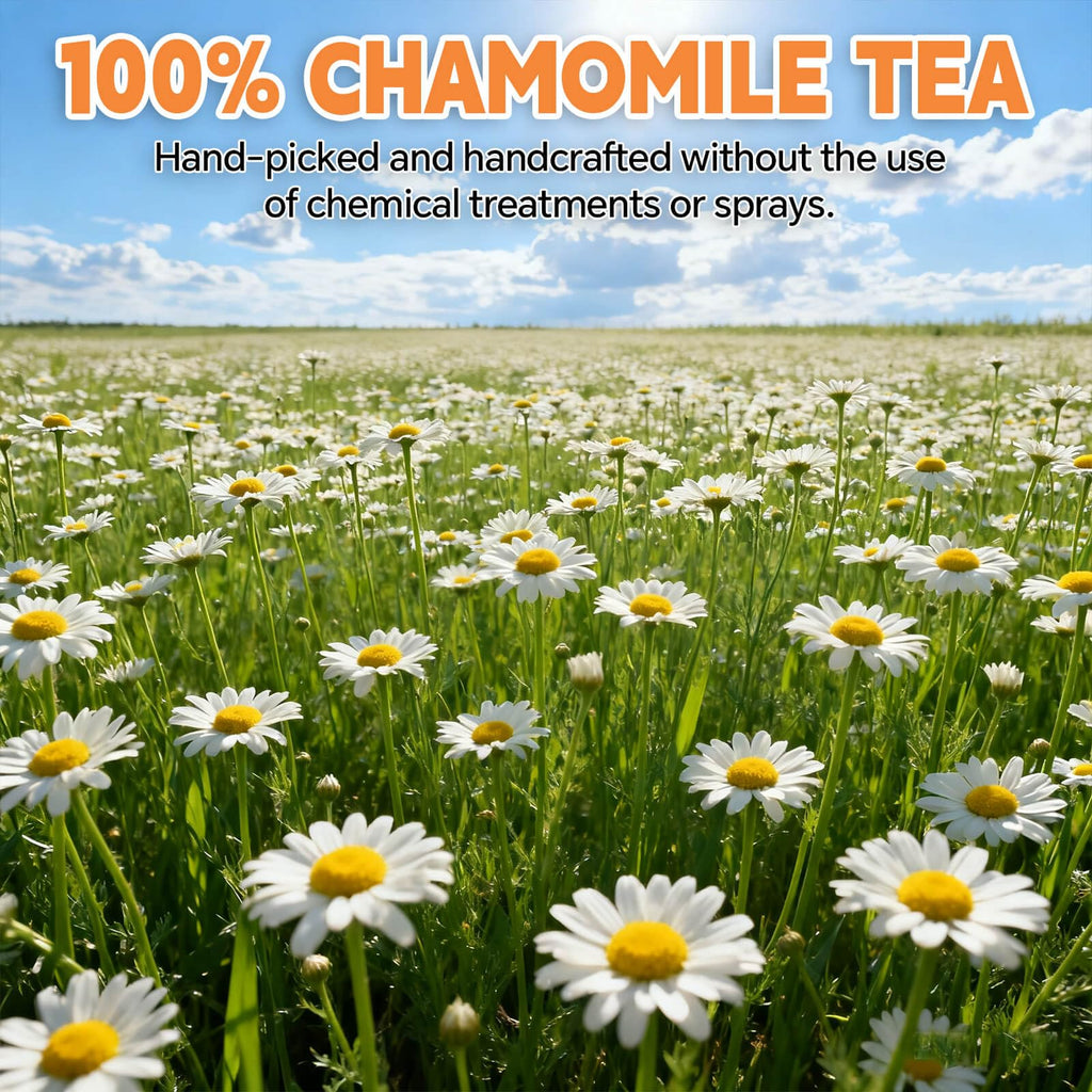 120 chamomile tea bags bulk