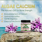120 count algae calcium gummies for convenience