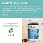 120 count ashwagandha gummies for daily use