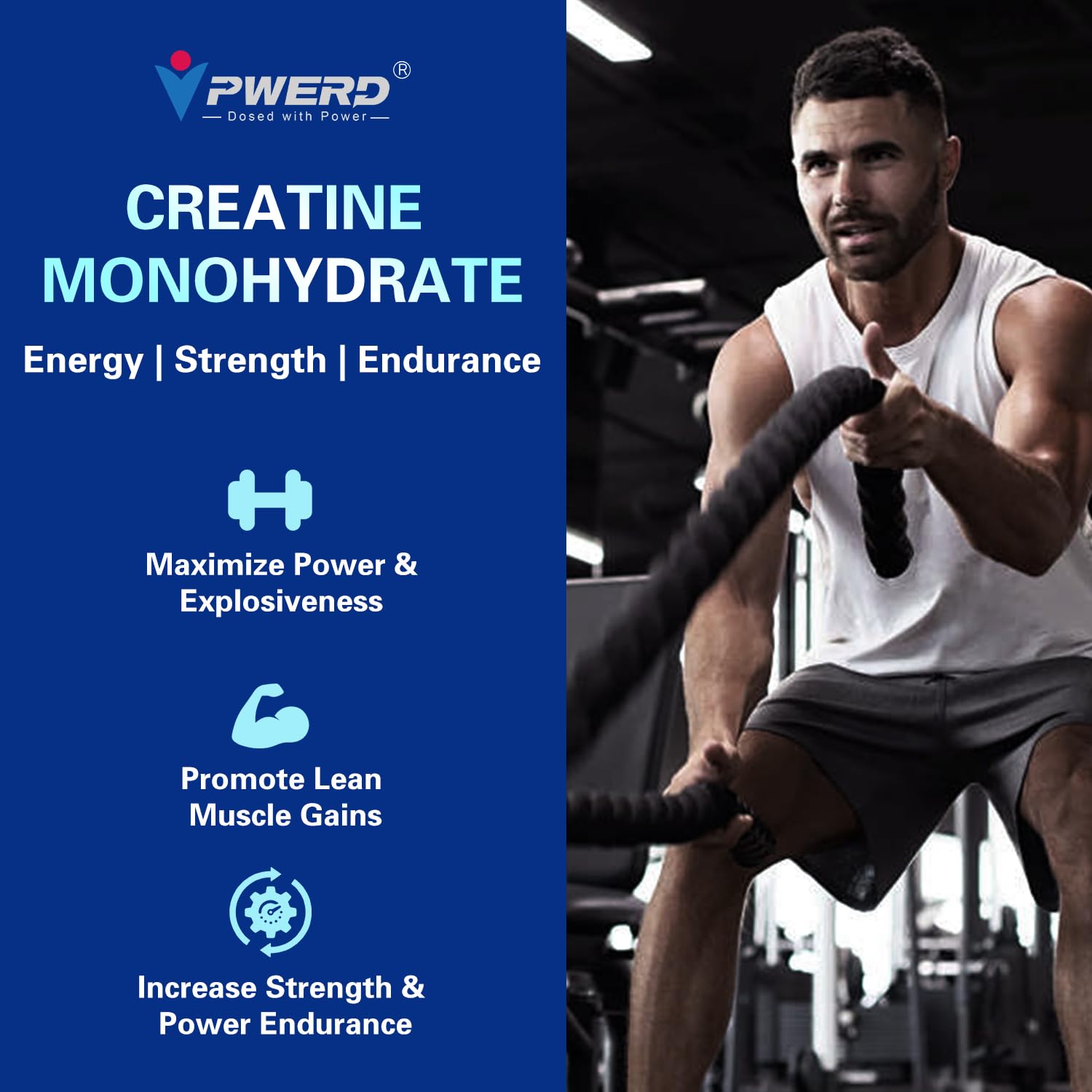 120 count creatine gummy supplements