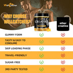 120 count creatine supplement