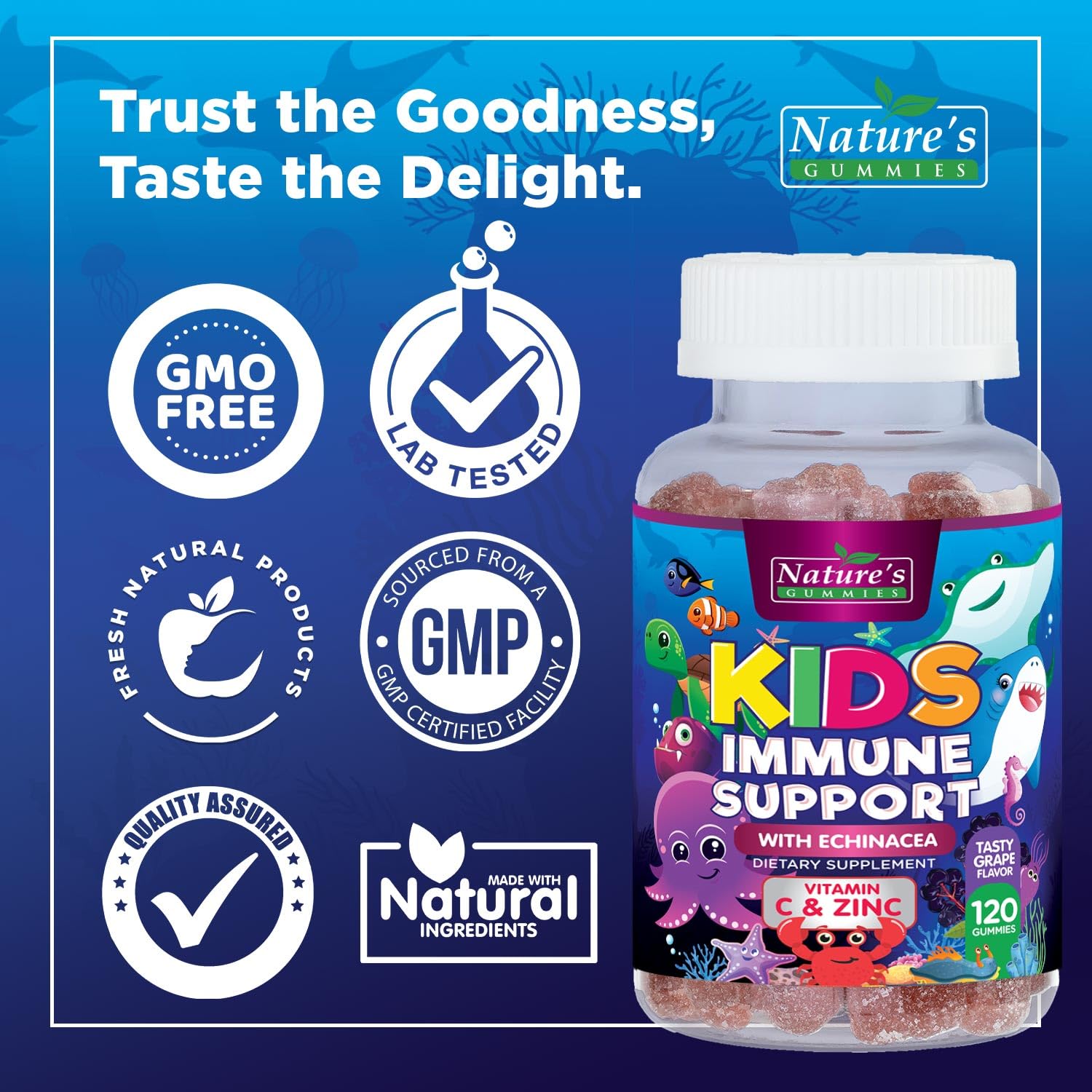 120 count echinacea gummy vitamins