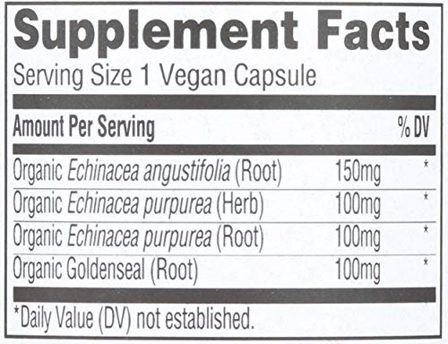 120 count echinacea immune booster