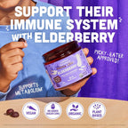 120 count elderberry gummies for kids