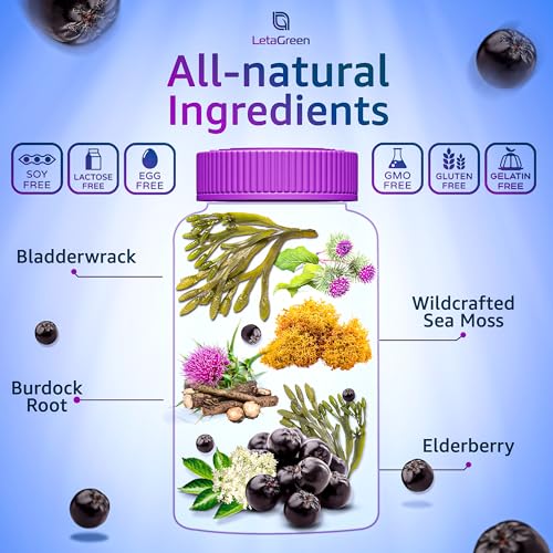 120 count elderberry gummy bundle