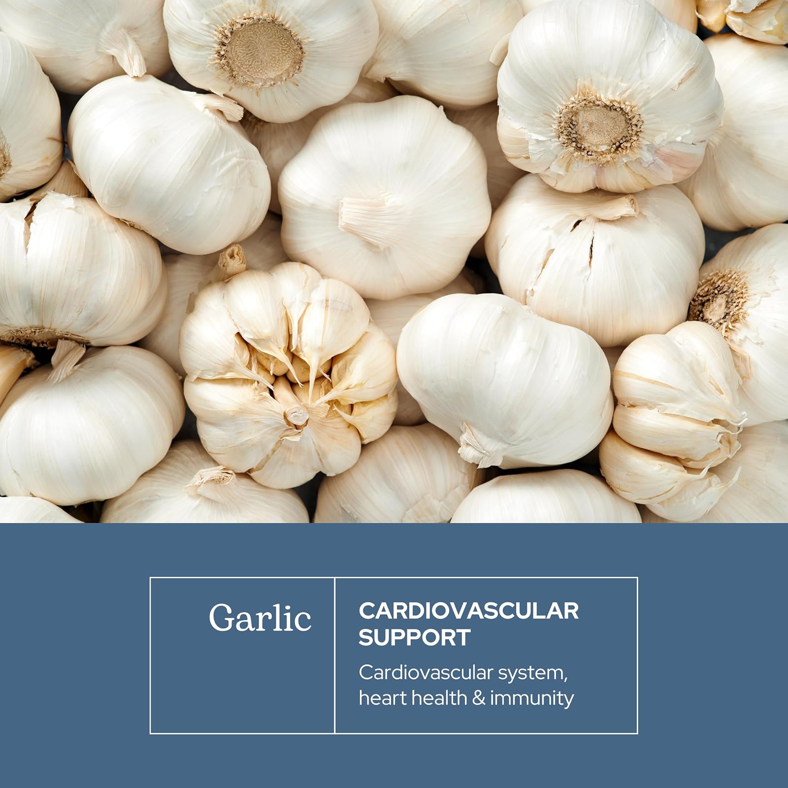 120 count garlic capsules for daily wellness