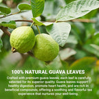 120 count guava leaf tea bags